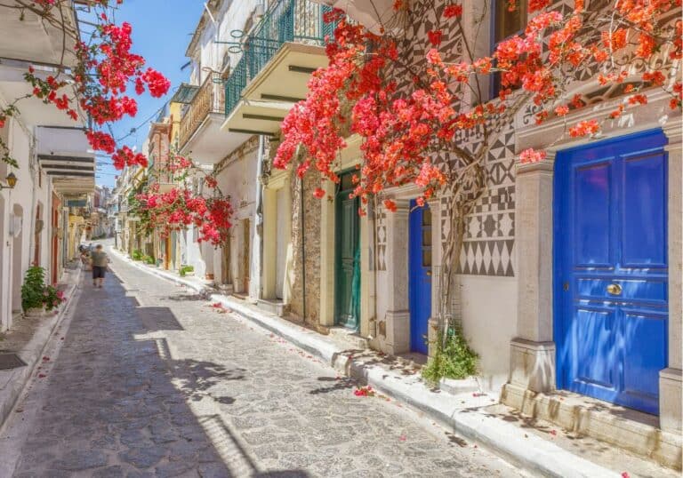 Explorer les utilisations et les avantages du mastic de Chios